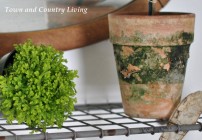 How to Make Moss Covered Garden Pots - Town & Country Living
