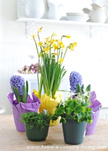 Easy DIY Spring Bulb Arrangement - Town & Country Living