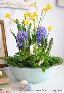 Easy DIY Spring Bulb Arrangement - Town & Country Living