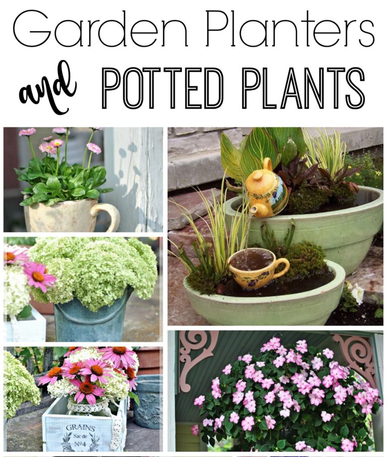 DIY Cigar Box Planters - Town & Country Living