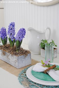 Spring Bulb Centerpiece - Town & Country Living