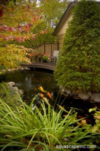 Fall Landscape Features with a Splash of Water - Town & Country Living