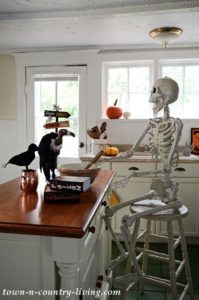 Halloween Skeleton Sightings at My House!! - Town & Country Living