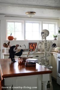 Halloween Skeleton Sightings at My House!! - Town & Country Living