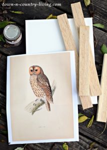 Vintage Owl Printable: Create a Fall Vignette - Town & Country Living