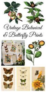 Create a Nature Board with Free Printables - Town & Country Living