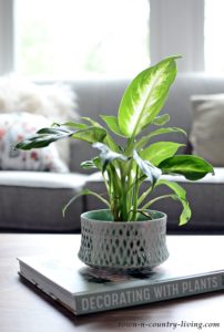 Bridget’s Plant-Filled Boho Chic Living Room - Town & Country Living