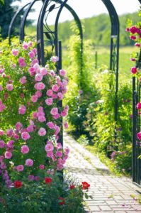 9 Enticing Garden Path Ideas | Town & Country Living