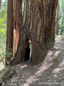 Visiting Historic Ferndale – the Cozy Side of California