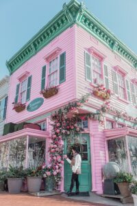 Pink House Collection: A Fun Way to Celebrate the New Year