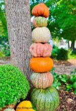 How to Make a Whimsical Outdoor Pumpkin Tower
