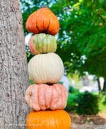 How to Make a Whimsical Outdoor Pumpkin Tower