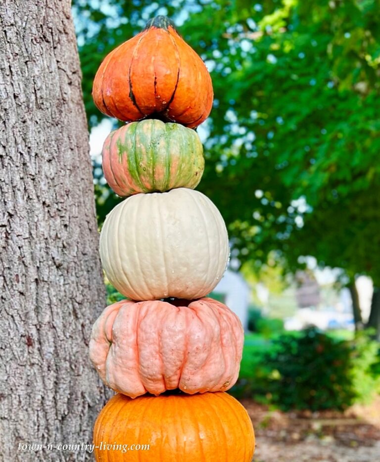 How to Make a Whimsical Outdoor Pumpkin Tower