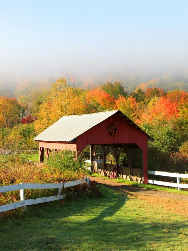 7 Ways to Immerse Yourself in the Spectacular Outdoor Beauty of Fall ...