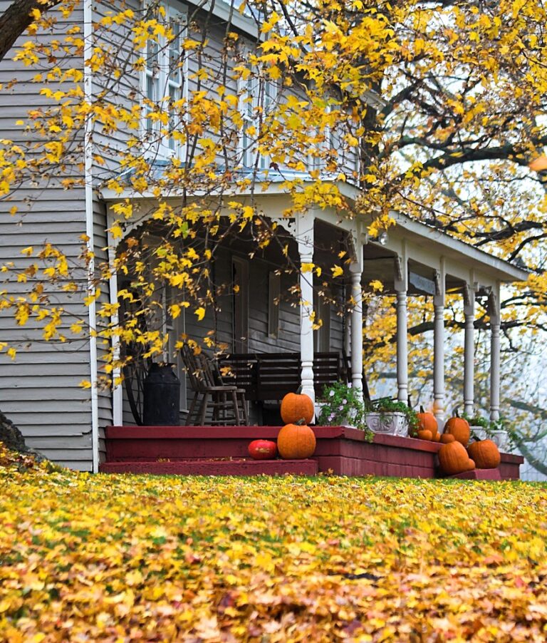 Stunning Outdoor Fall Scenes: Before the Transition to Christmas