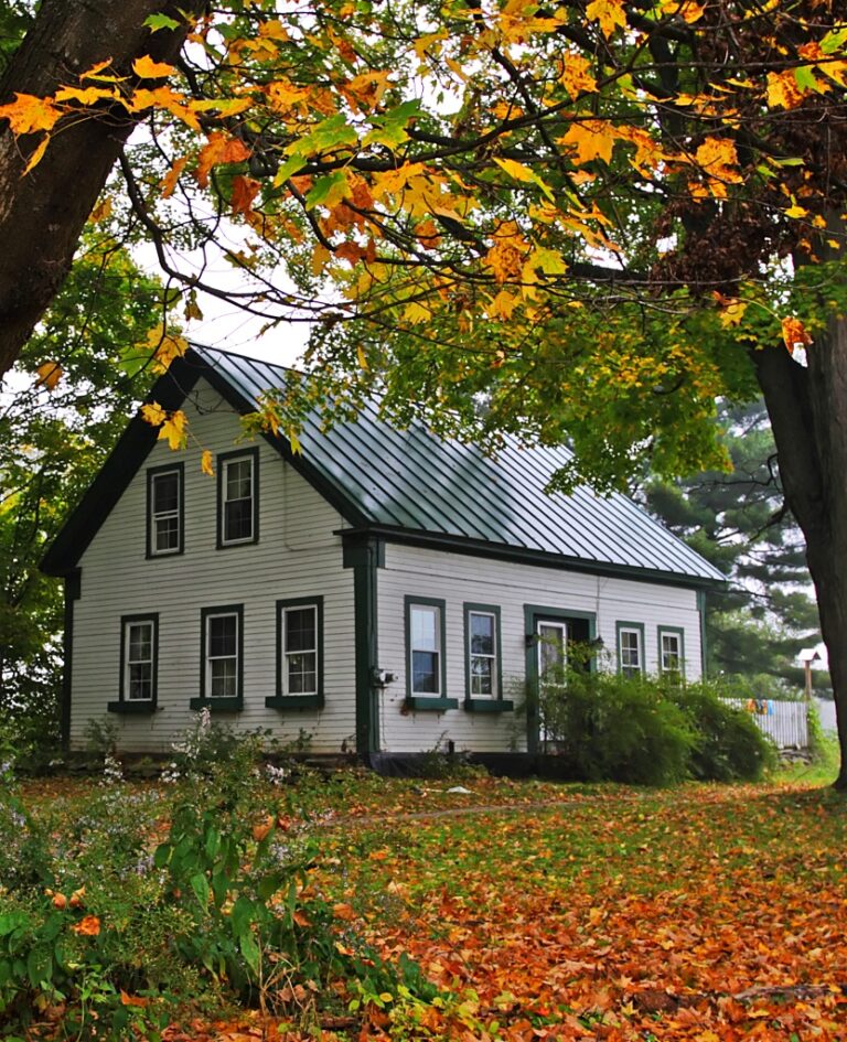 7 Ways to Immerse Yourself in the Spectacular Outdoor Beauty of Fall ...