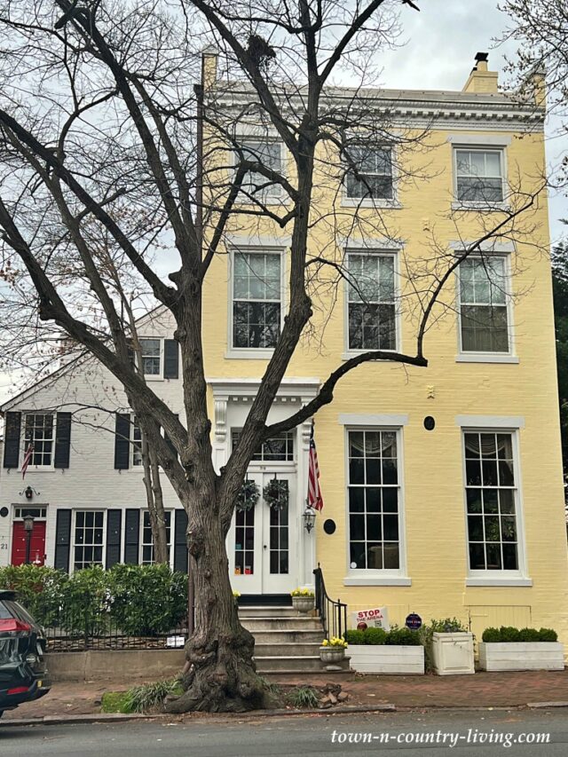 Amazing Alexandria: Wondrous Old Houses and Cobblestone Streets