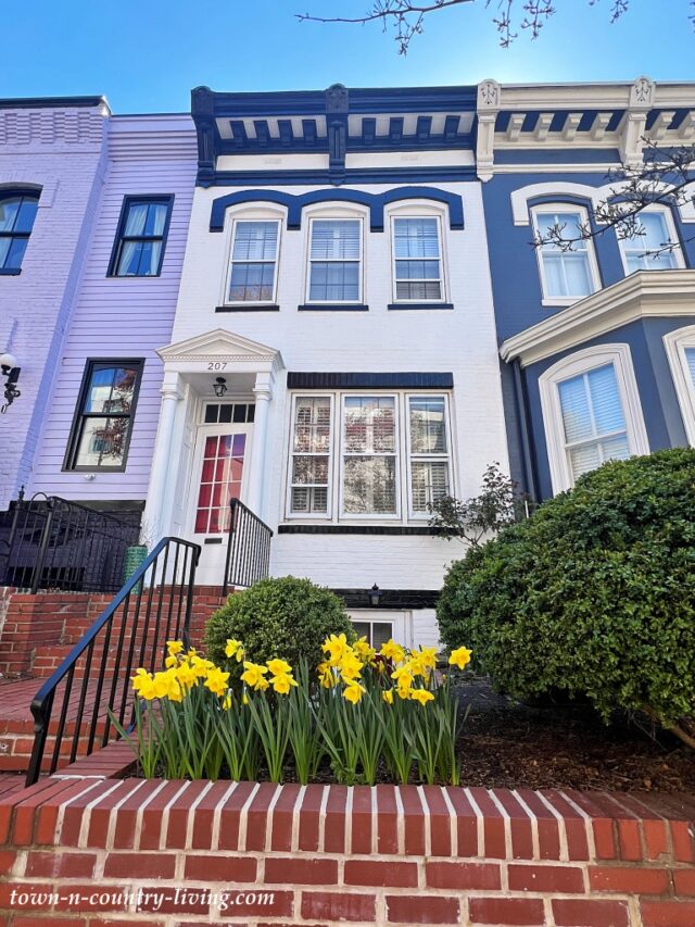 Epic Historic Homes in Capitol Hill: Preserving a Colorful Heritage