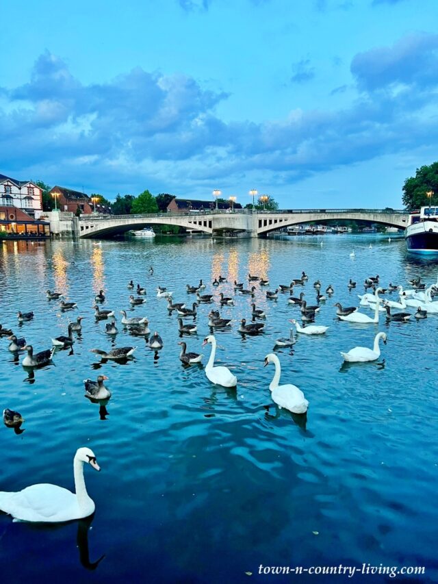 This Is What You’ll Find in Wonderful, Historic Reading, UK