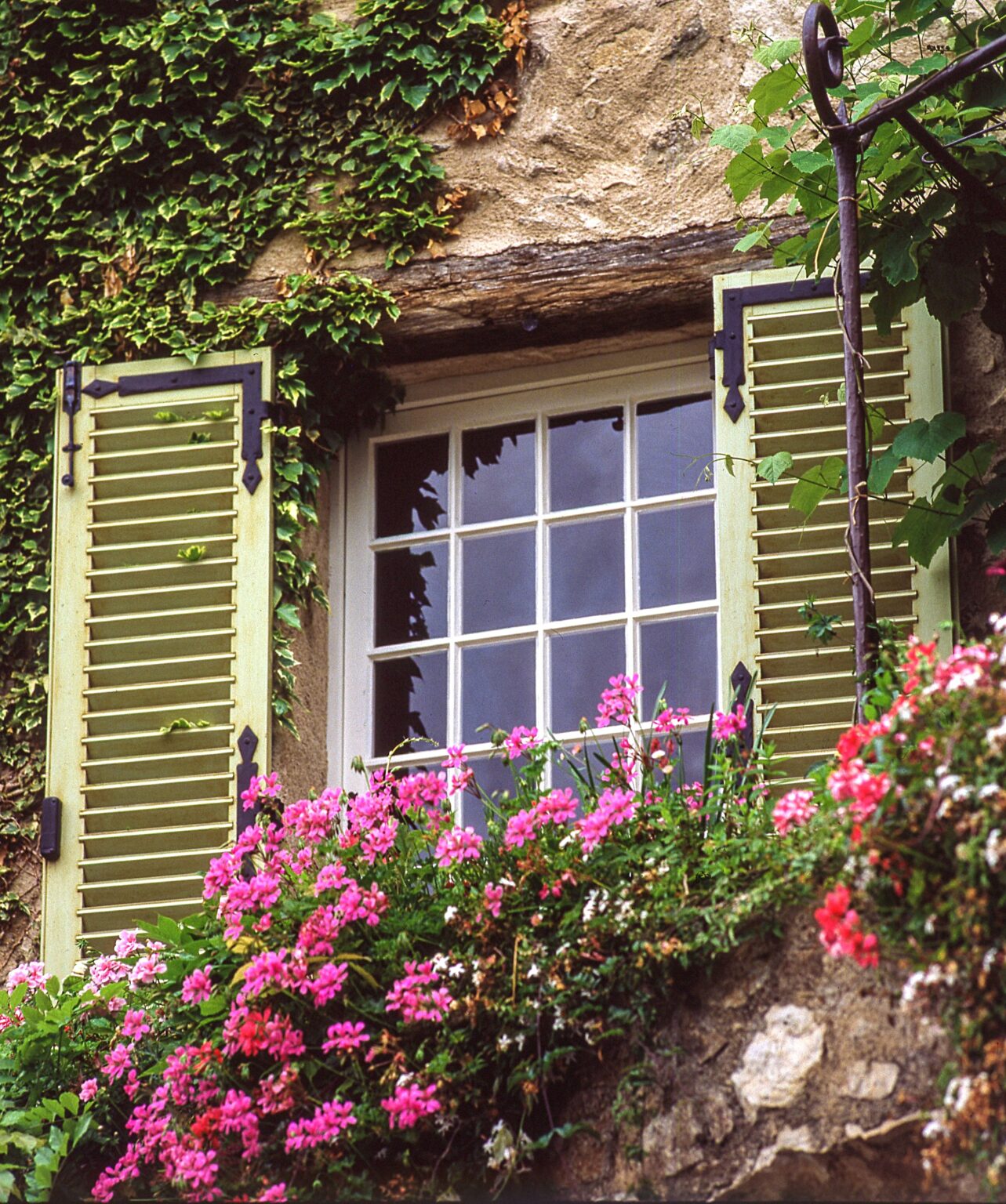 Enchanting Cottage Window Flowers: Beautiful Charm for Home Exteriors