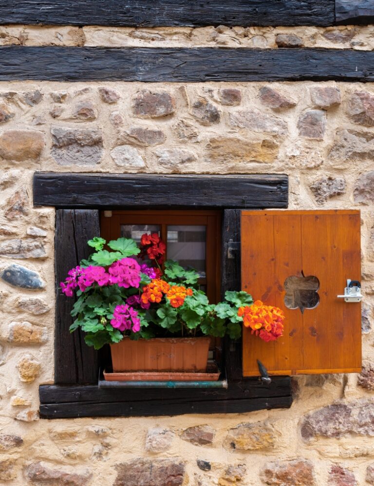Enchanting Cottage Window Flowers: Beautiful Charm for Home Exteriors