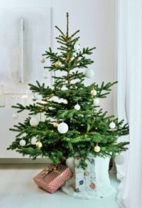 12 Stunning and Festive Christmas Tree Ideas for You