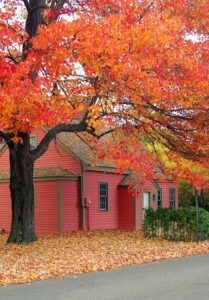 Fantastic Fall Cottage Collection: Embrace the Colors of Autumn - Town ...