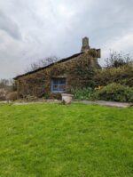 Beautiful Home Decorating and a Trip to Cornwall: Style Showcase - Town ...