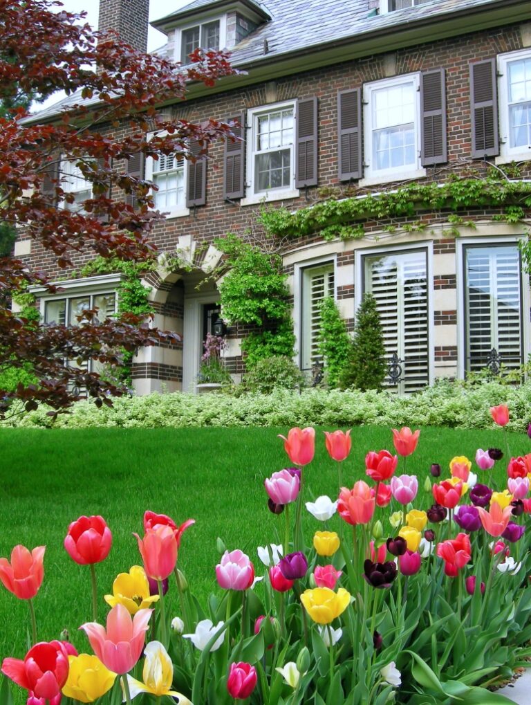 How to Create a Stunning Front Yard Flower Garden