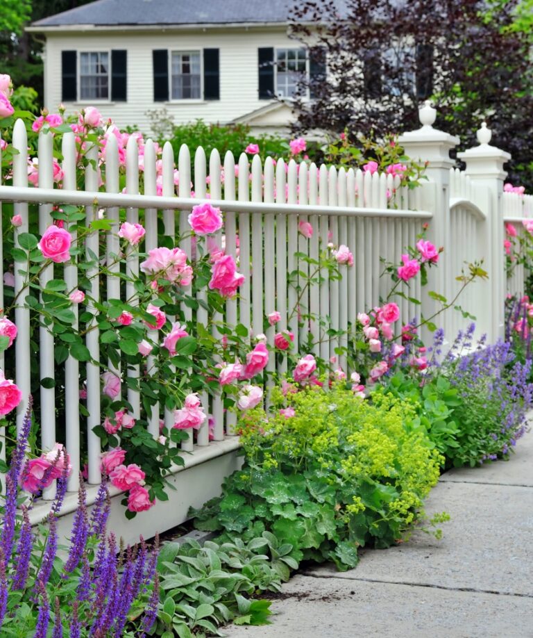 How to Create a Stunning Front Yard Flower Garden