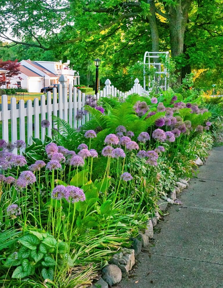 How to Create a Stunning Front Yard Flower Garden