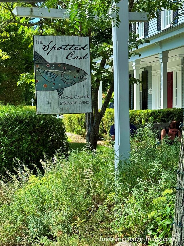 Fall in Love with Sandwich, MA: Boardwalks, Beaches, and Coastal Charm